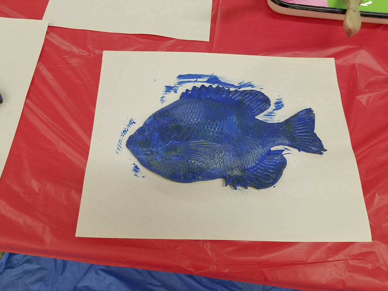 STEM-ulating kids’ curiosity | Kitsap Daily News