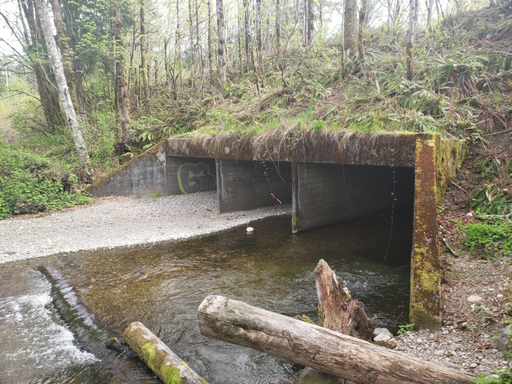 Work to remove fish barrier culvert on Chico Creek begins | Kitsap ...
