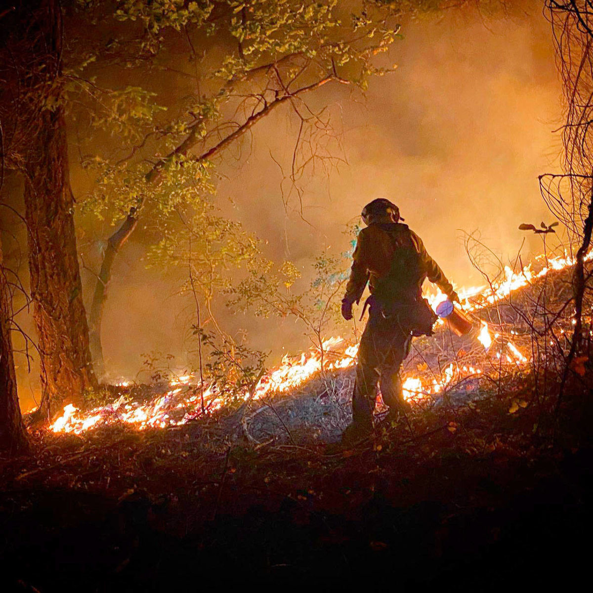 SKFR is stamping out fires down the West Coast | Kitsap Daily News