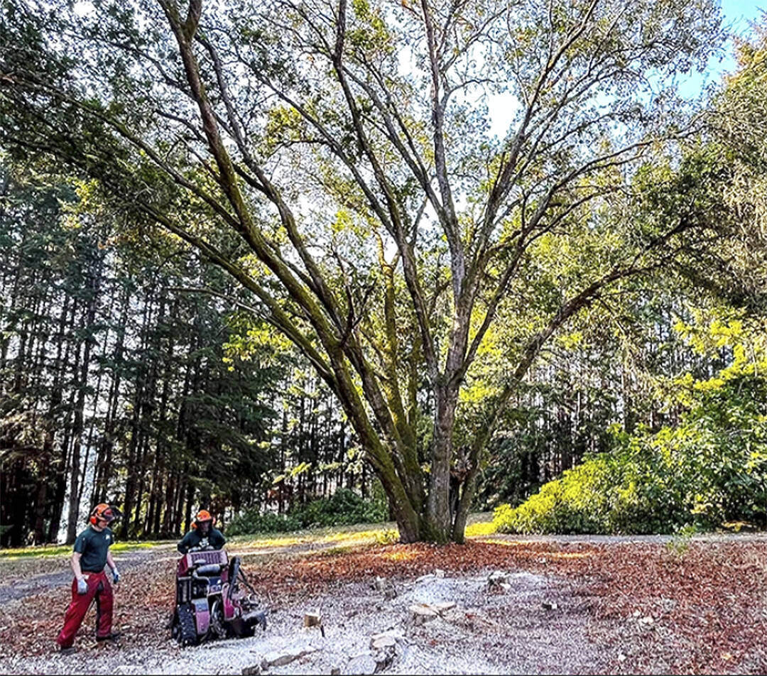 Briefs | Kitsap Daily News