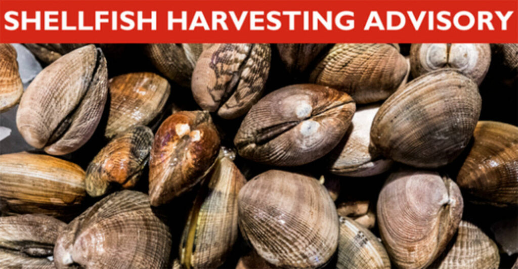 Shellfish harvesting closed in Liberty Bay | Kitsap Daily News