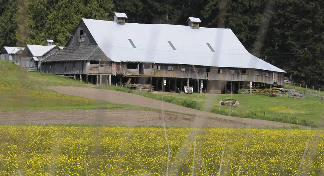 Affordable farm leasing program gets a boost | Kitsap Daily News